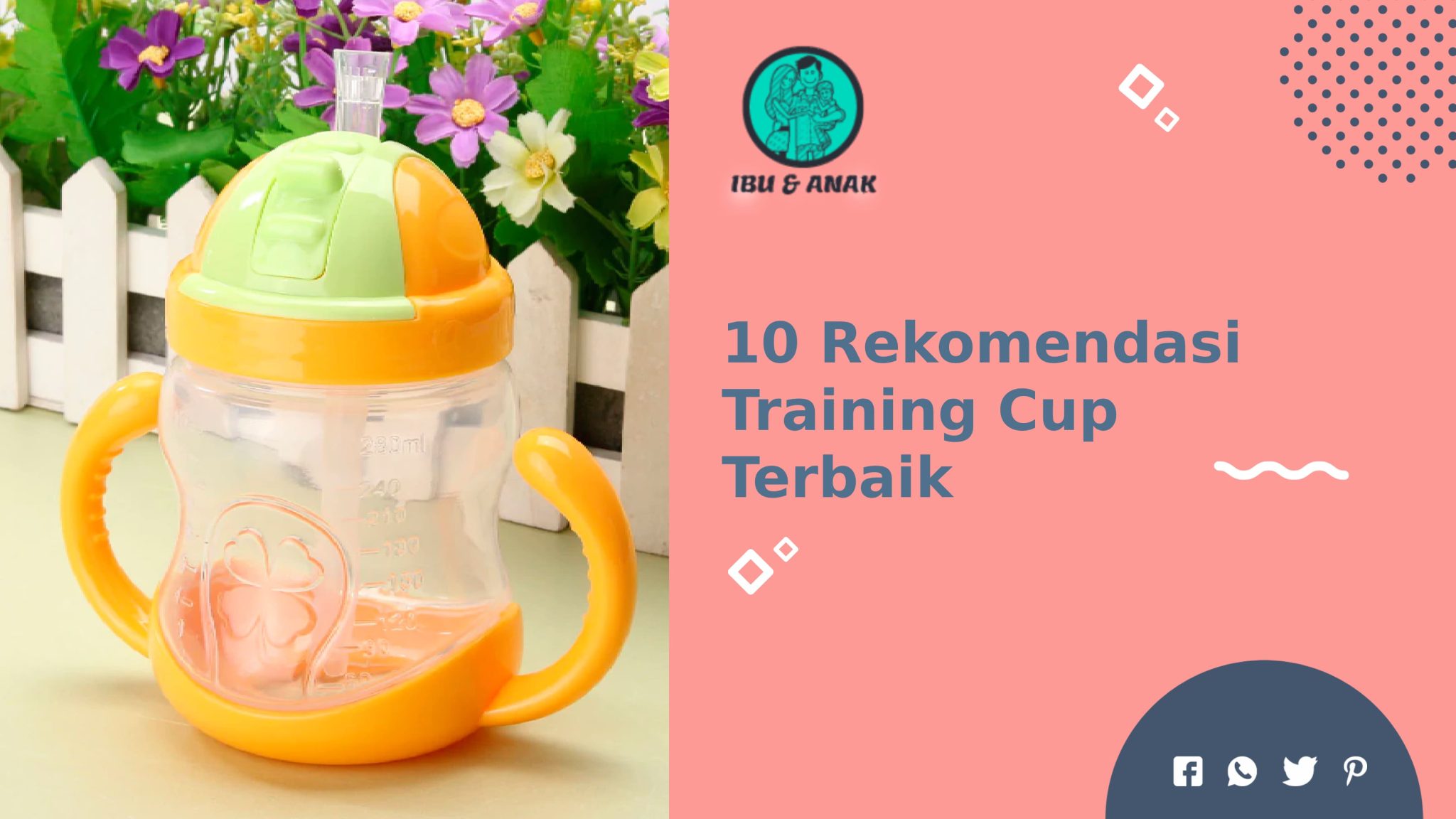 10 Rekomendasi Training Cup dengan Sedotan Terbaik - Mamwips