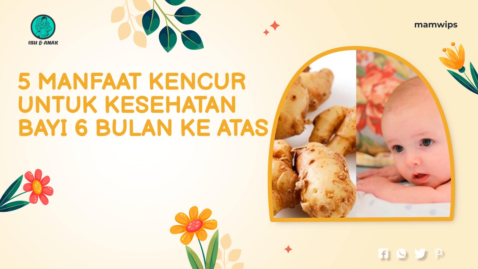 5 Manfaat Kencur untuk Kesehatan Bayi 6 Bulan ke Atas - Mamwips