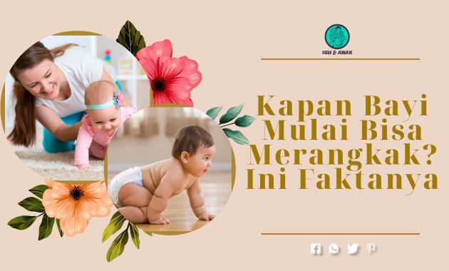 Kapan Bayi Mulai Bisa Merangkak? Ini Fakta dan Penjelasannya - Mamwips