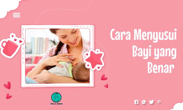 Cara Menyusui Bayi yang Benar Agar Terasa Nyaman - Mamwips